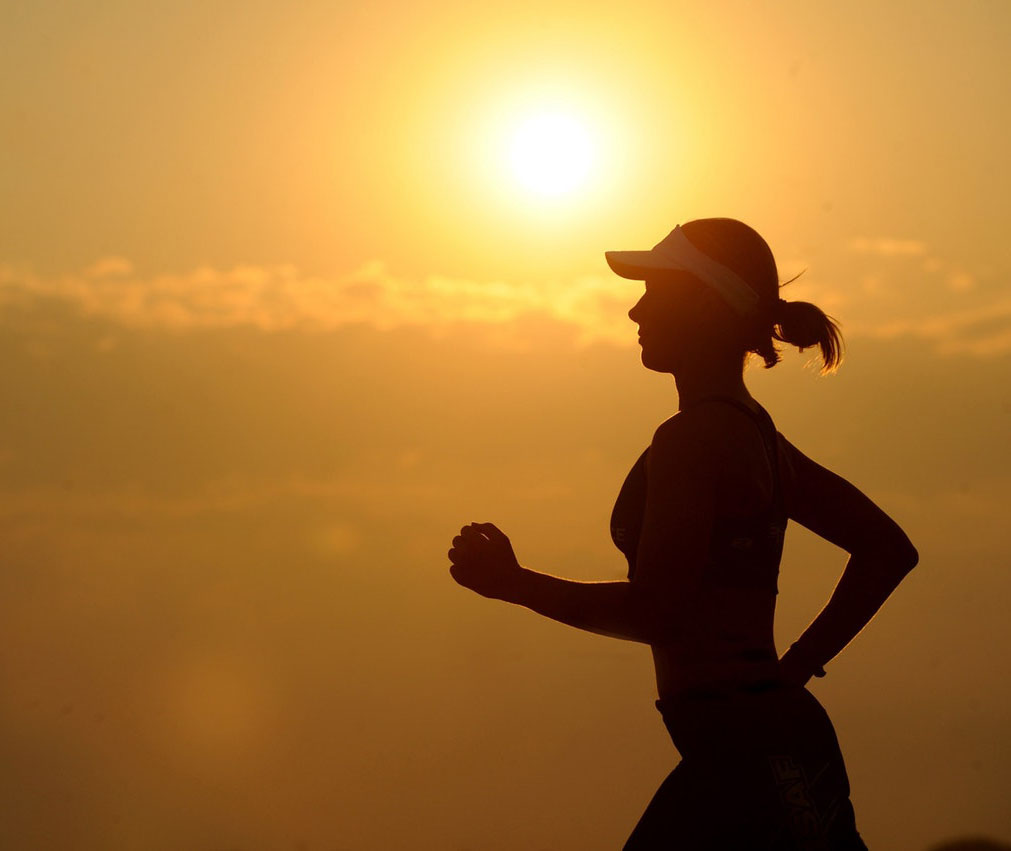 Penn State Berks 'Exercise Is Medicine' program receives gold-level ...