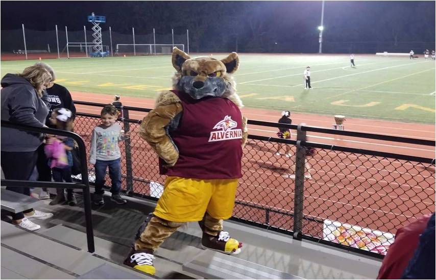 Alvernia Moving Forward as the Golden Wolves - BCTV