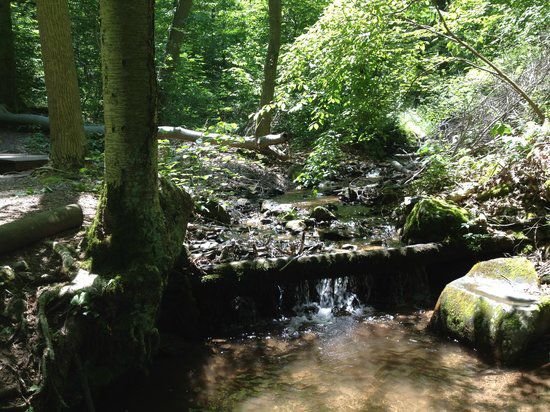 Induction of Nolde Forest Environmental Education Center into Old ...