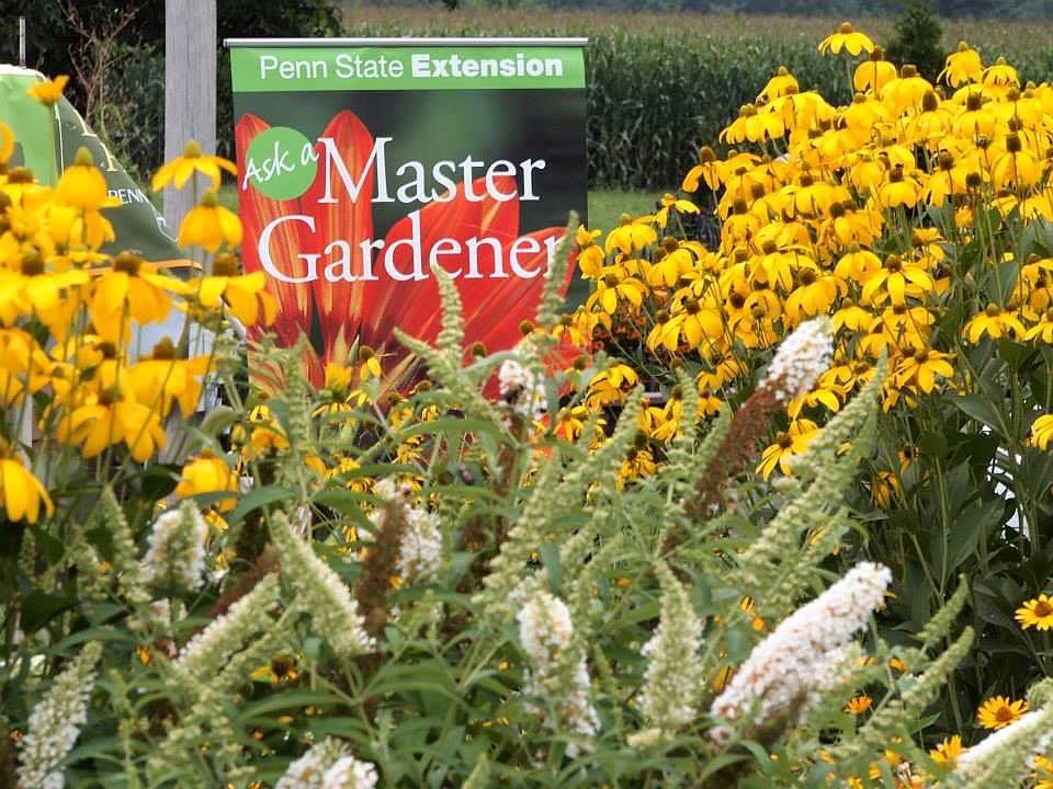 Penn State Master Gardeners Offer Spring Gardening Series - BCTV