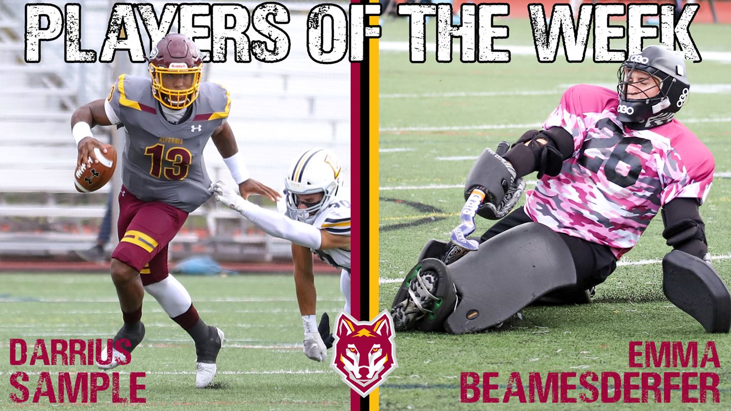 Sample, Beamesderfer Named Alvernia Players of the Week - BCTV