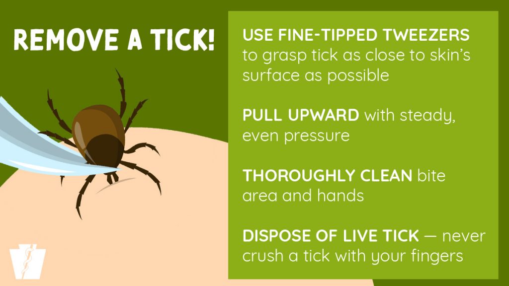 Protect Yourself from Ticks, Mosquitoes While Outdoors During Fall ...