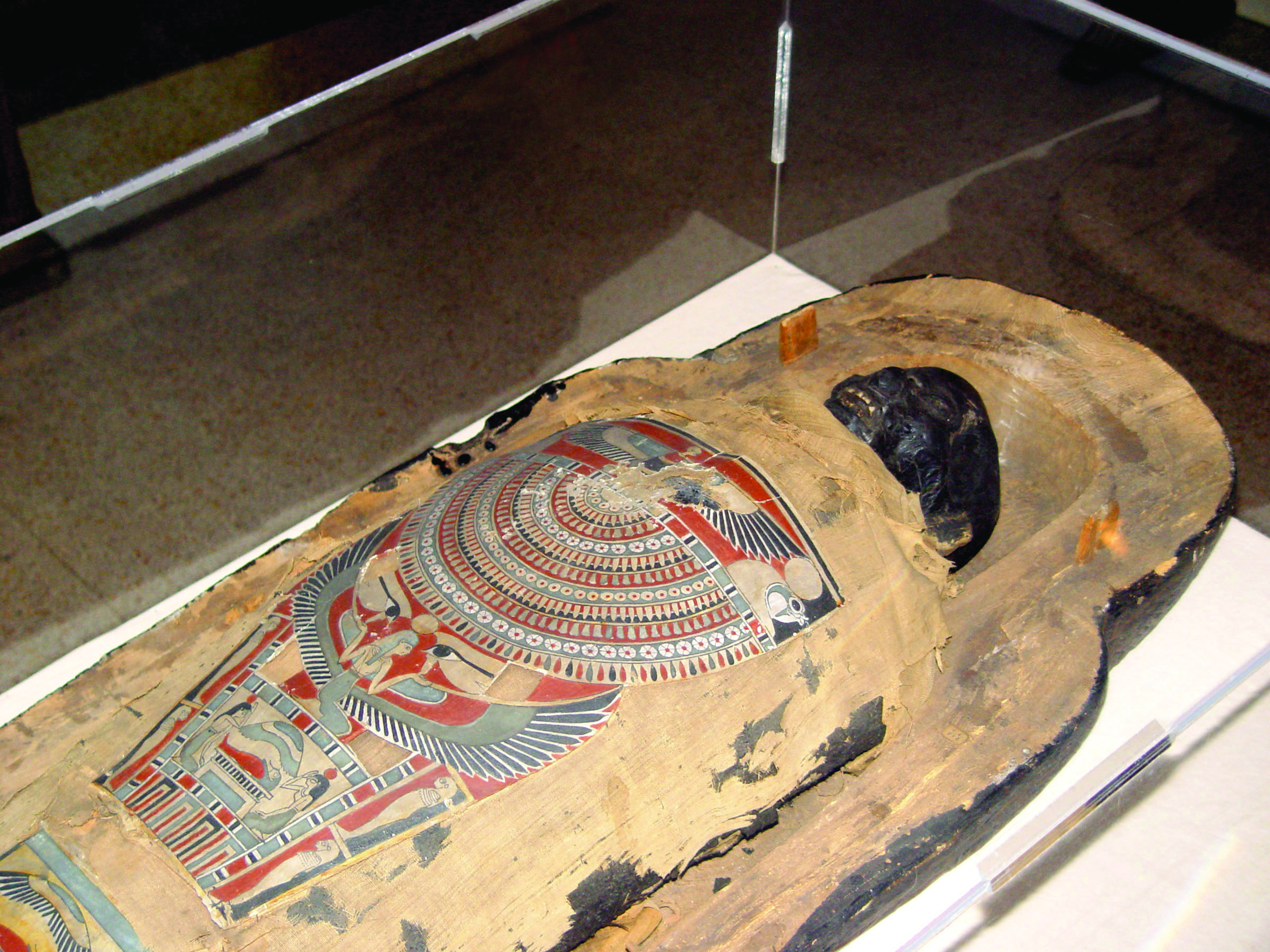 Hologram of Resident Mummy Nefrina Coming to The Reading Public Museum ...