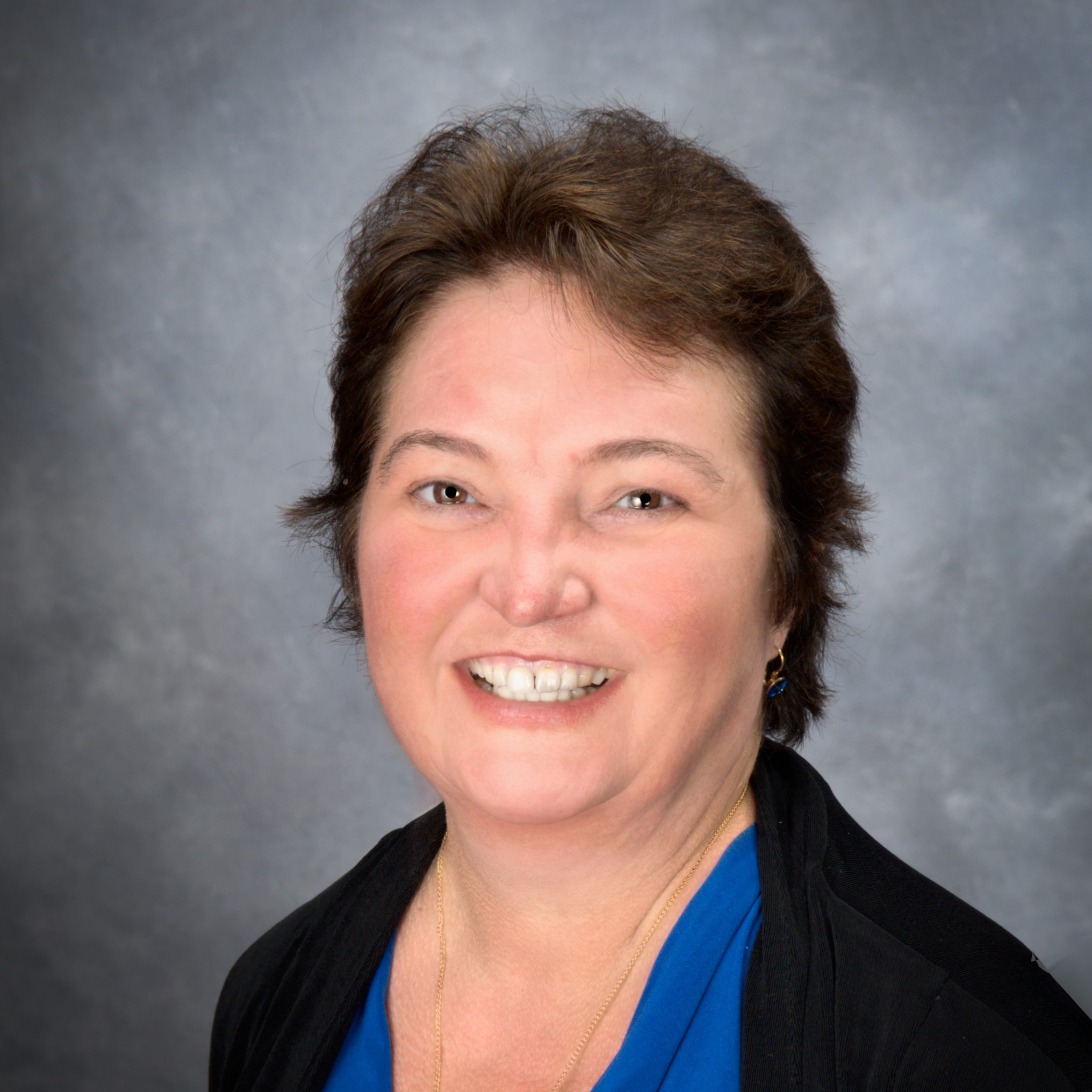 Northeast Berks Chamber of Commerce Announces 1st Term Board Members - BCTV