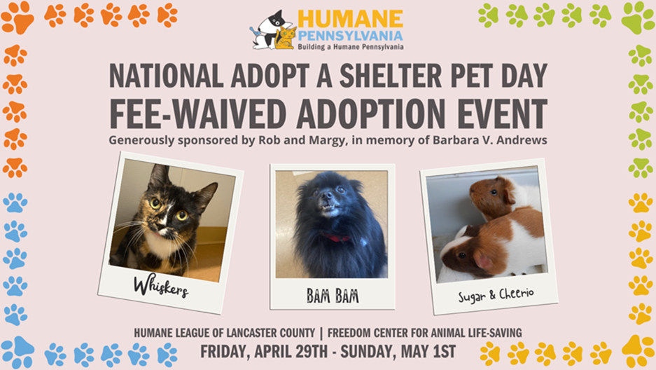 Humane PA Celebrates National Adopt A Shelter Pet Day With Adoption ...