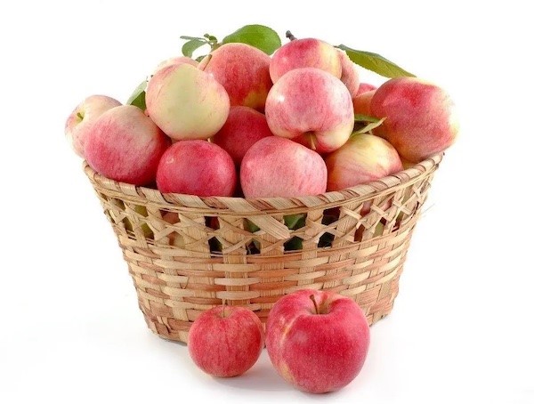 Preserving the Amazing Apple - BCTV