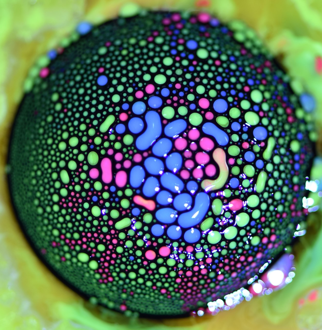 Berks Fluid Discovery Lab presents ‘Gallery of Fluid Motion' - BCTV