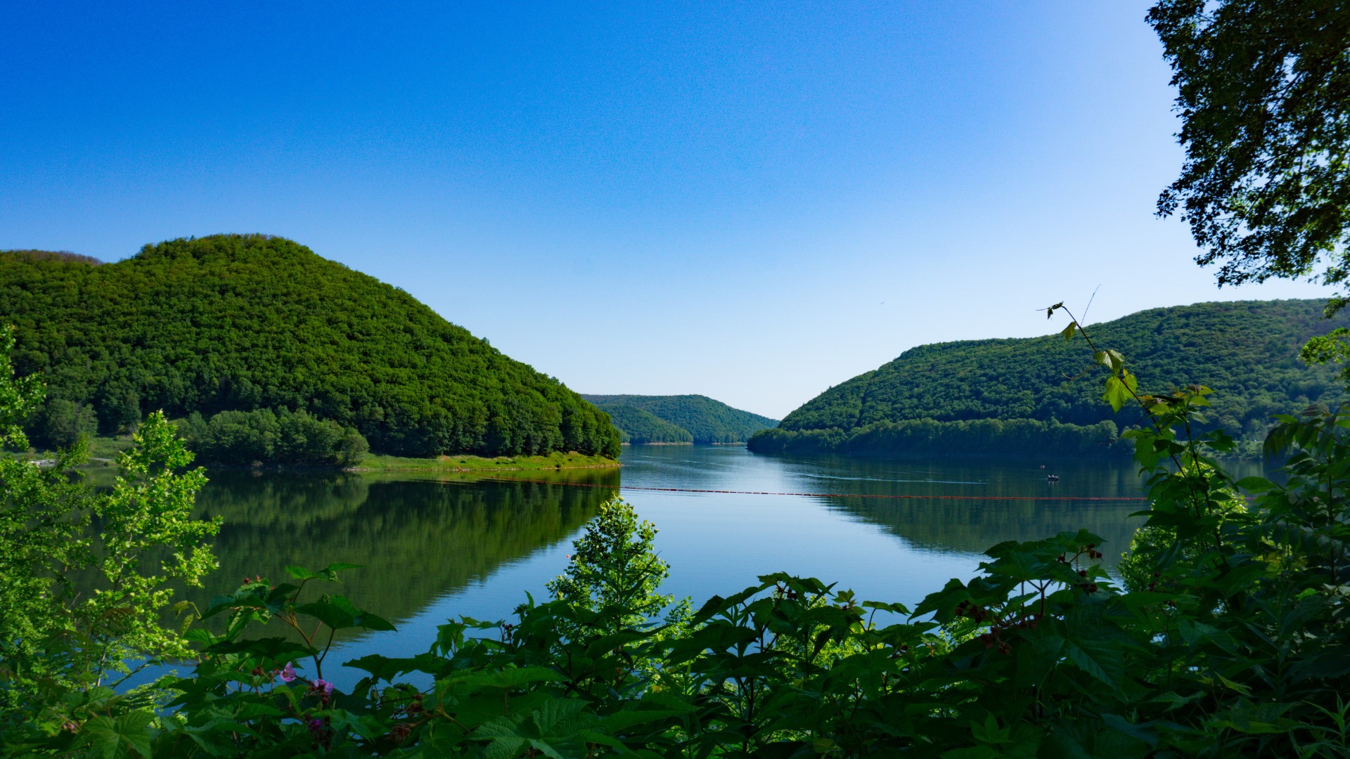DCNR Celebrates the Allegheny River as the 2024 River of the Year - BCTV