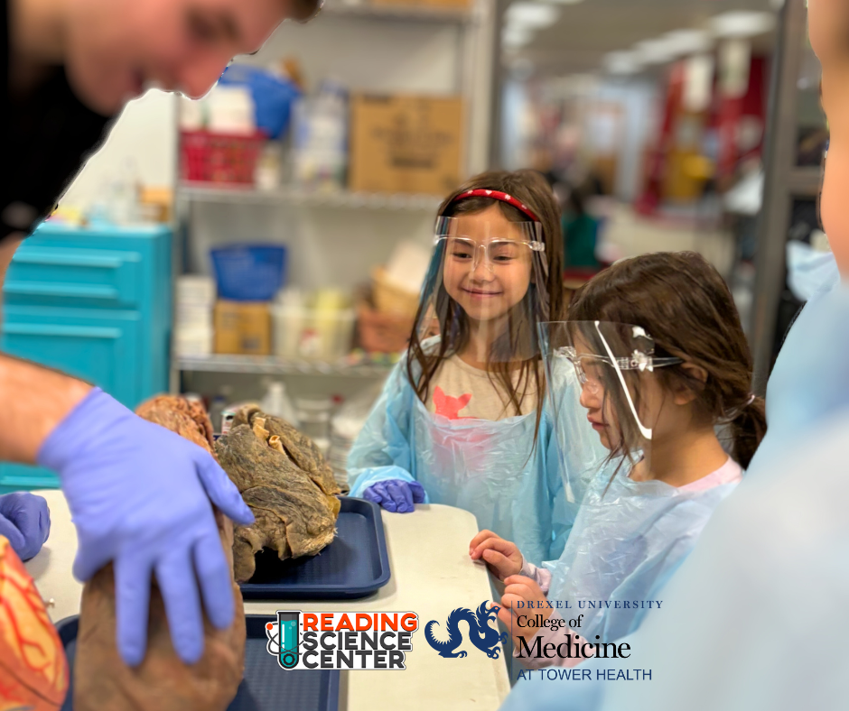 Curious in the Classroom - Heart Health: All about Blood - BCTV