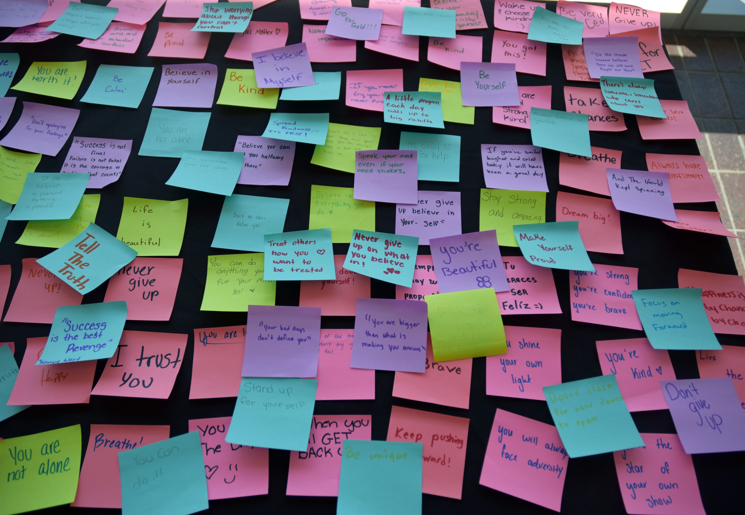 Berks County Students Participate in Suicide Prevention Event with ...