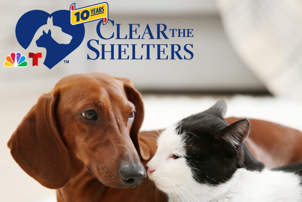 ARL, Humane Pennsylvania Join NBCUniversal Local's 10th Annual 'Clear ...