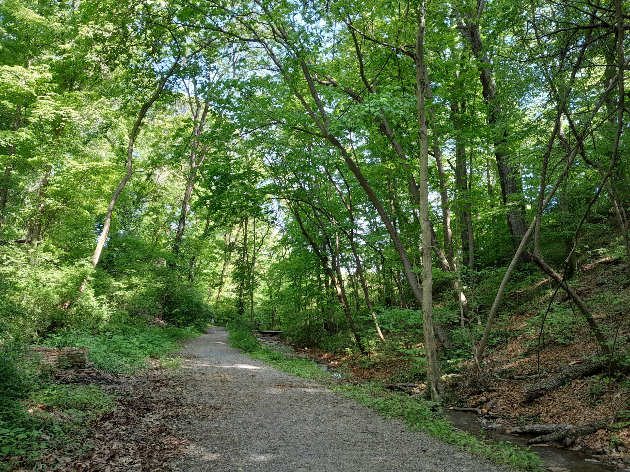 DCNR Now Accepting Nominations for Pennsylvania’s 2025 Trail of the ...