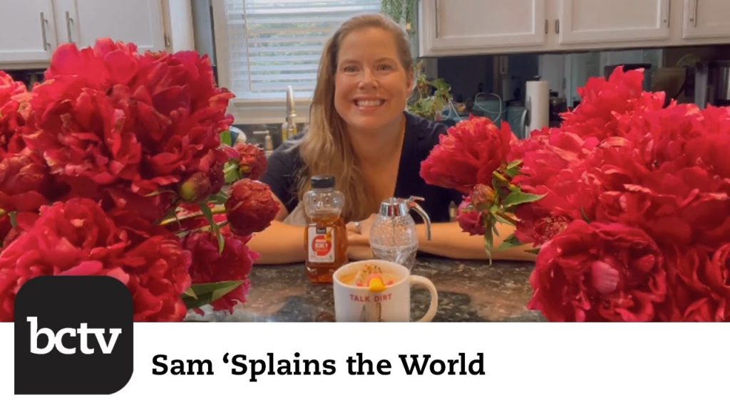 Tomatoes Planting, Lady Bugs, Peonies, Honey | Sam 'Splains the World ...