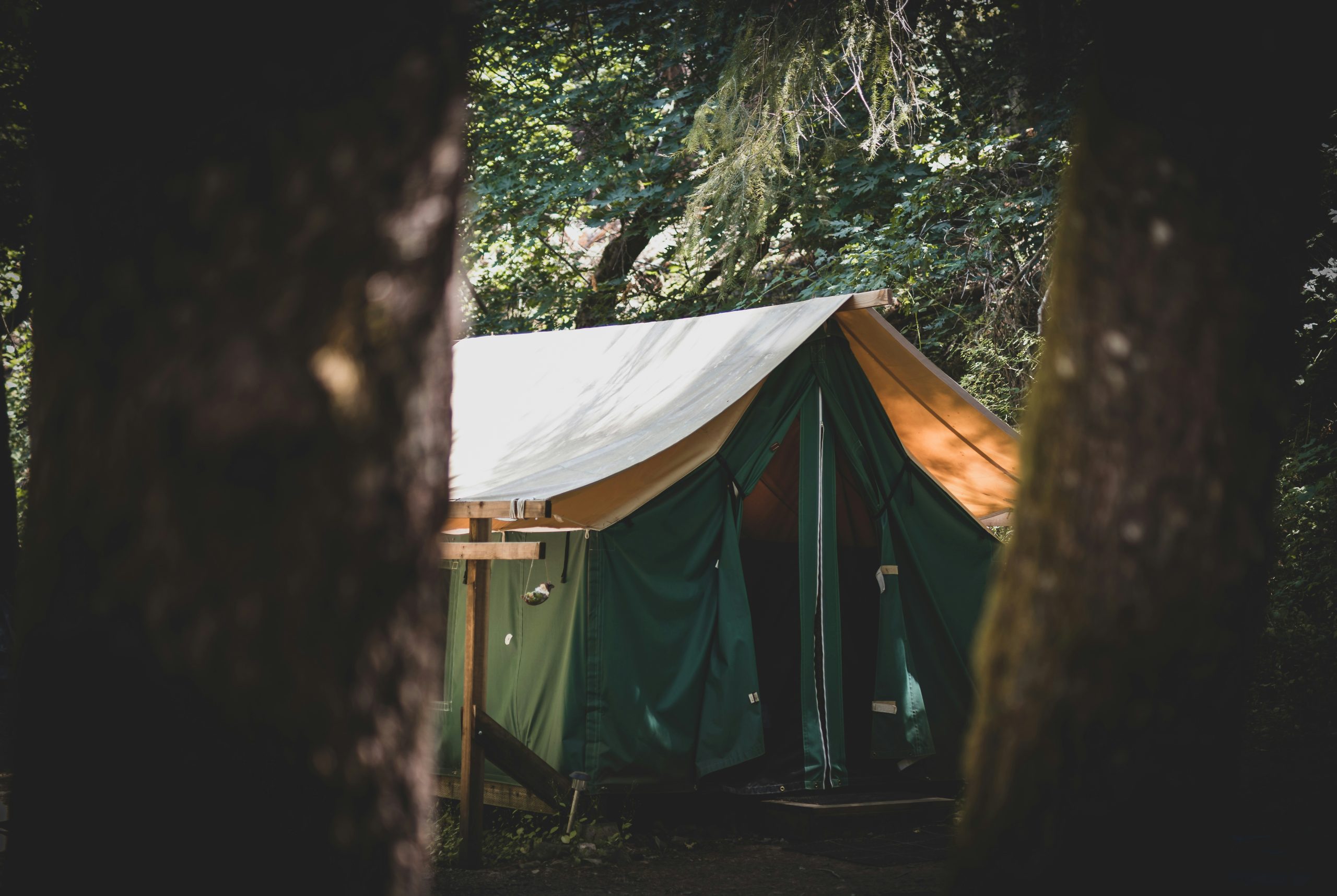 PA State Parks and Forests See Surge in Camping Demand as Summer Season ...