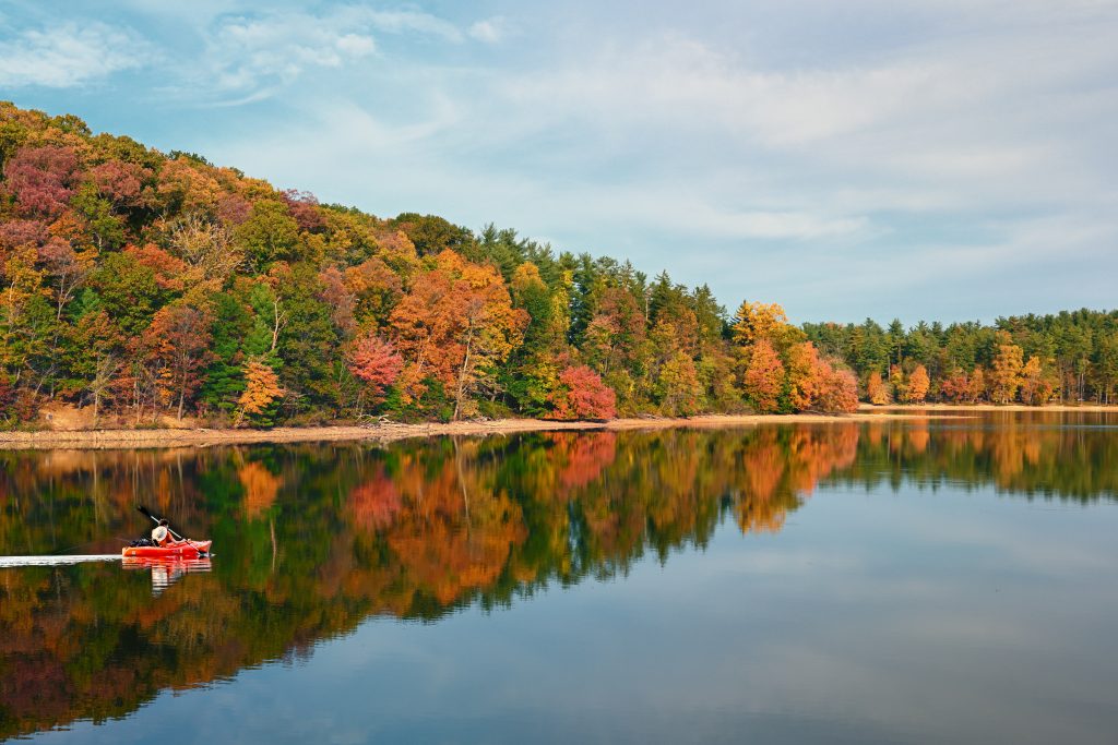 New Weekly PA Fall Foliage Report - BCTV